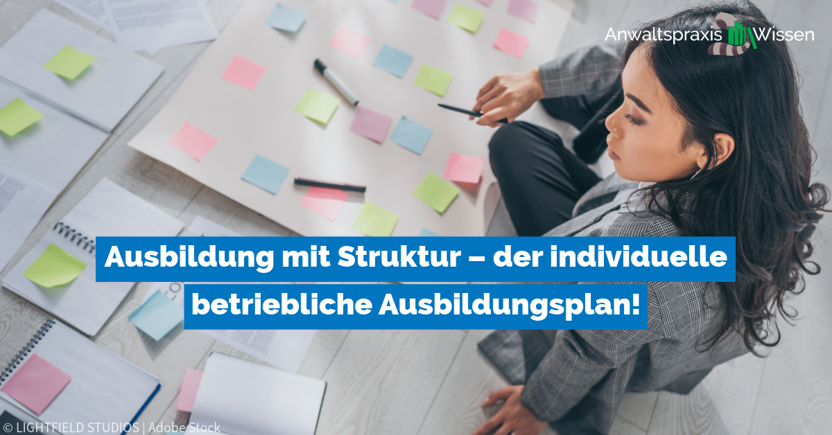 Ausbildung mit Struktur – der individuelle betriebliche Ausbildungsplan ...